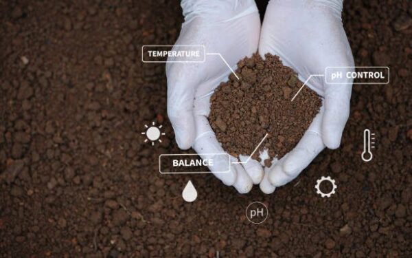 Soil Nutrient Monitoring with IoT Devices for Precision Fertilization ...