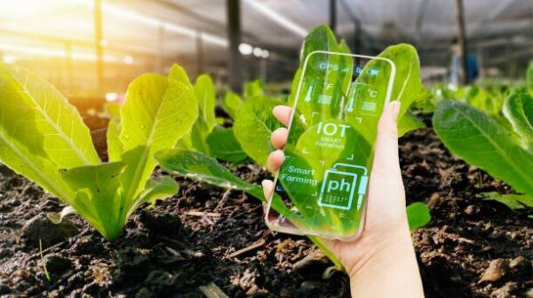 Soil Nutrient Monitoring with IoT Devices for Precision Fertilization ...